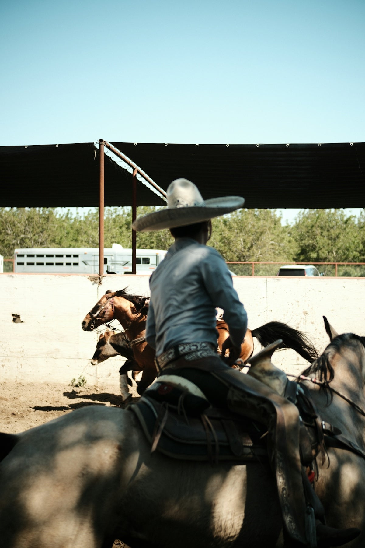 Rodeo Coffee Tradition Elevating Mornings with Premium Coffee Beans ...